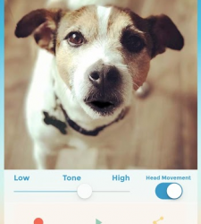 Get My Talking Pet Newest Version: Official Link by AppsNetWorld